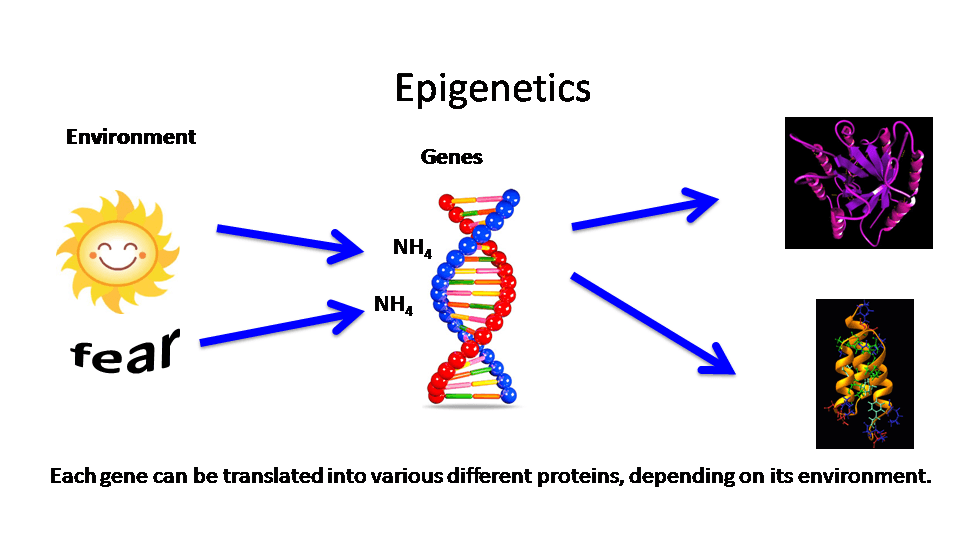 How can I change inherited problems? Introducing Epigenetics